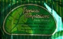 Tropical Temptations Macadamia Nut Milk Chocolate 4 oz. - Kona Wine Market