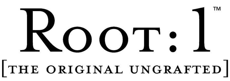 Root:1 Sauvignon Blanc 2020 750ml - Buster's Liquors & Wines