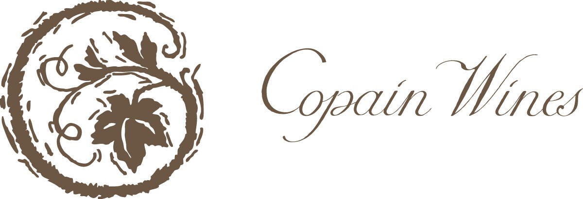 Copain Mendocino County Rose Of Pinot Noir 2021 750ml - Yankee Spirits