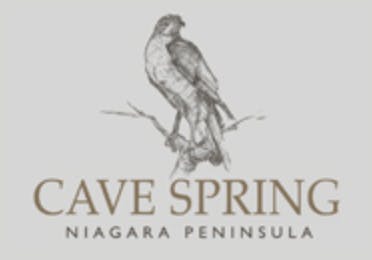 Cave Spring Vineyard Cabernet Franc 2019 750ml - Toast Wines by Taste