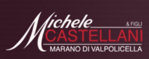 Michele Castellani Valpolicella Ripasso Classico Superiore San Michele ...