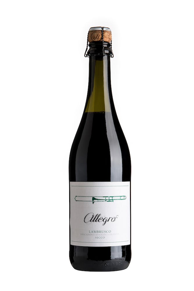 Fratelli Ottoni Lambrusco Secco Allegro 750ml - Argonaut Wine & Liquor
