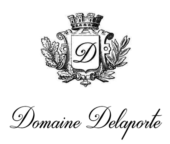 Domaine Vincent Delaporte Sancerre Silex Blanc 2022 750ml - Toast Wines ...