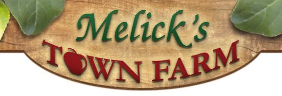 Melick's Town Farm George's Tart Cherry Hard Cider 6 pack Bottle ...