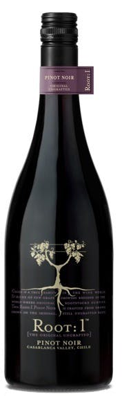Root:1 Pinot Noir 750ml - Stirling Fine Wines