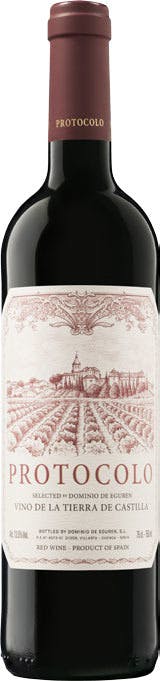 Dominio de Eguren Protocolo Tinto 2020 750ml - Great Grapes