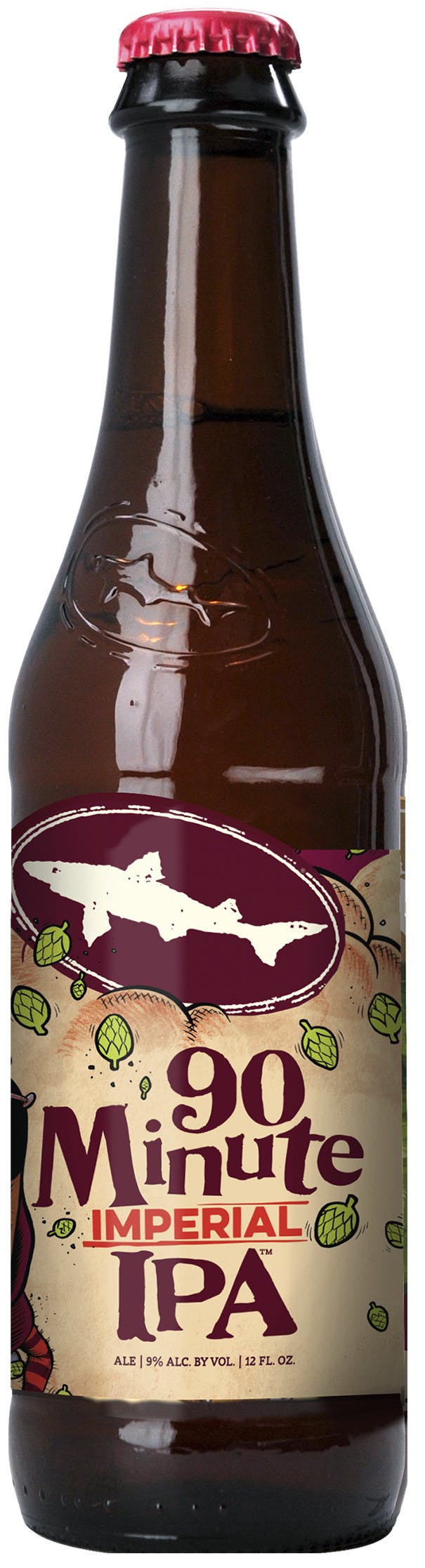 Dogfish Head 90 Minute IPA 6 pack 12 oz. Bottle - Yankee Spirits