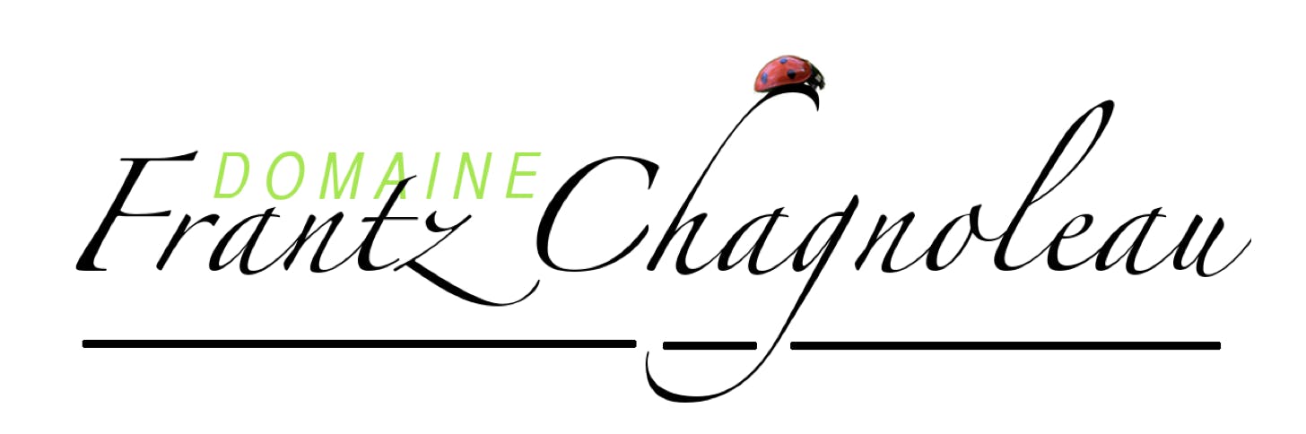 Domaine Frantz Chagnoleau Saint Veran La Roche 2022 750ml - Rye Brook ...