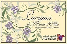 Badiali Lacrima Di Morro d'Alba 2021 750ml - Great Grapes