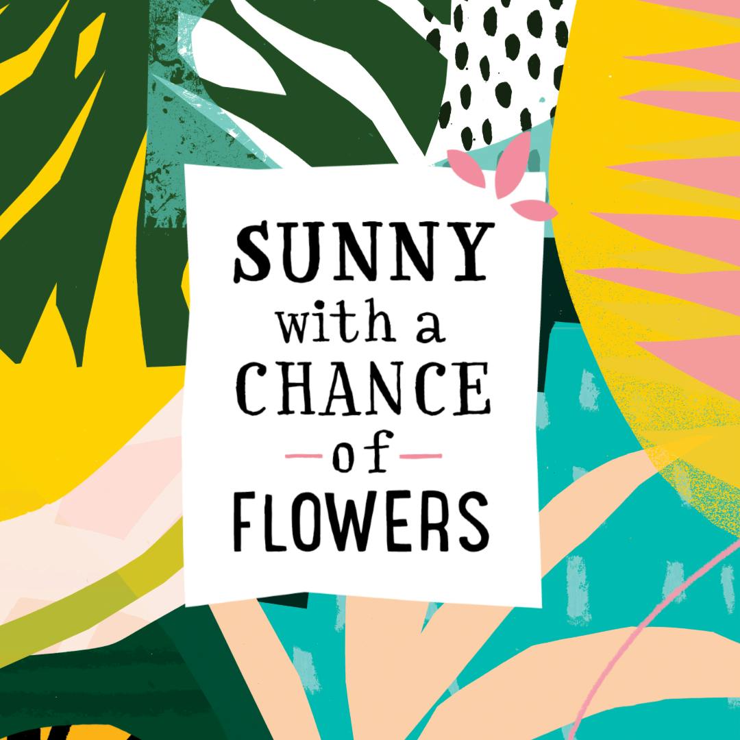Sunny with a Chance of Flowers Pinot Noir 2023 750ml - Vine Republic