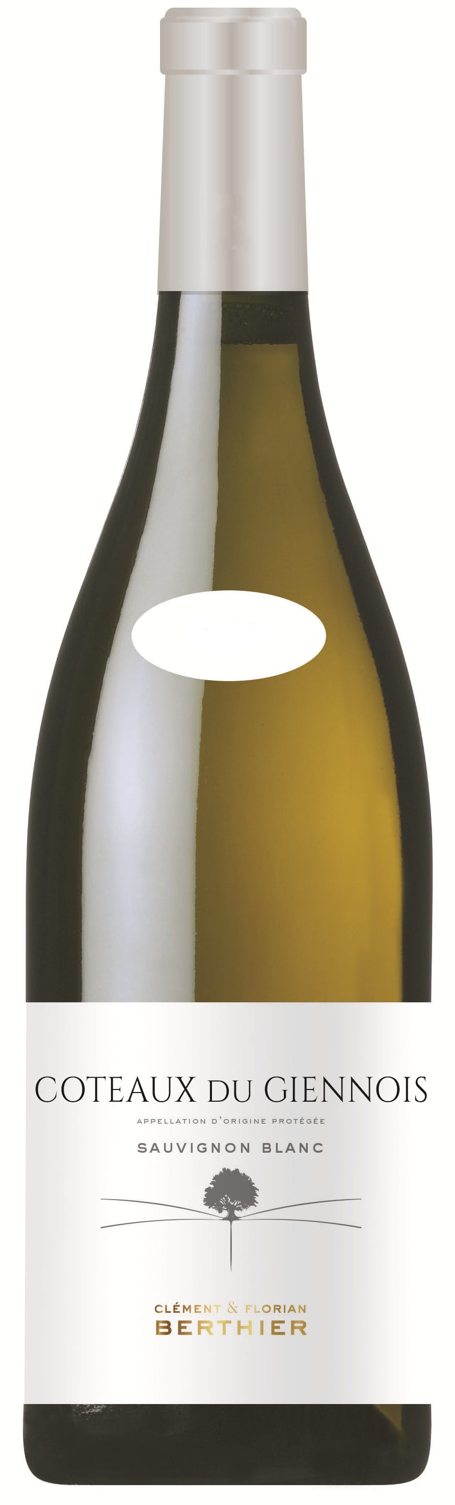 Clement et Florian Berthier Coteaux Du Giennois Sauvignon Blanc 2021 ...