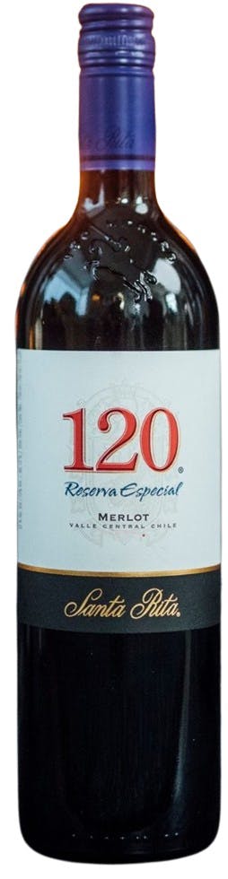 Santa Rita 120 Merlot 2022 750ml - Hudson Wine