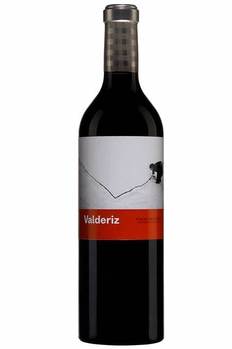 Bodegas y Vinedos Valderiz Ribera del Duero 2020 750ml - Allendale Wine Shoppe