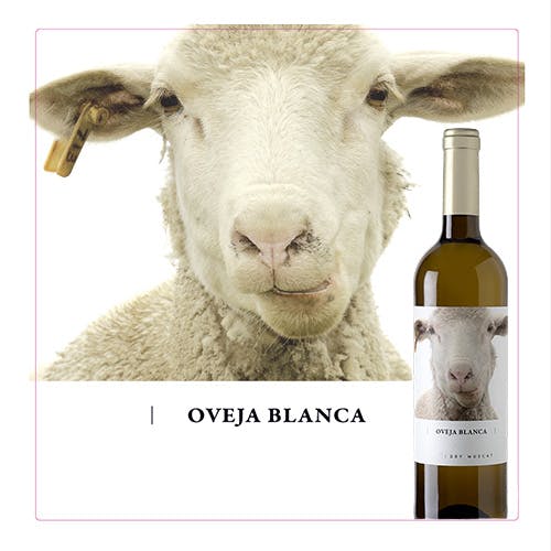Bodegas Fontana Oveja Blanca Dry Muscat 2022 750ml - Bottle Shop of ...